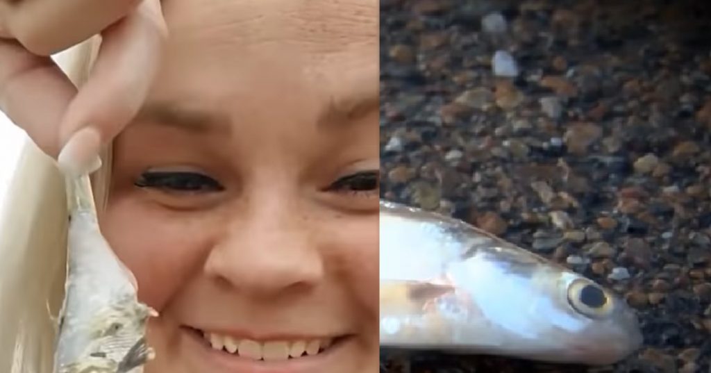 Rare Phenomenon of "Fish Raining From The Sky" Happened in Texas - Oh Epic