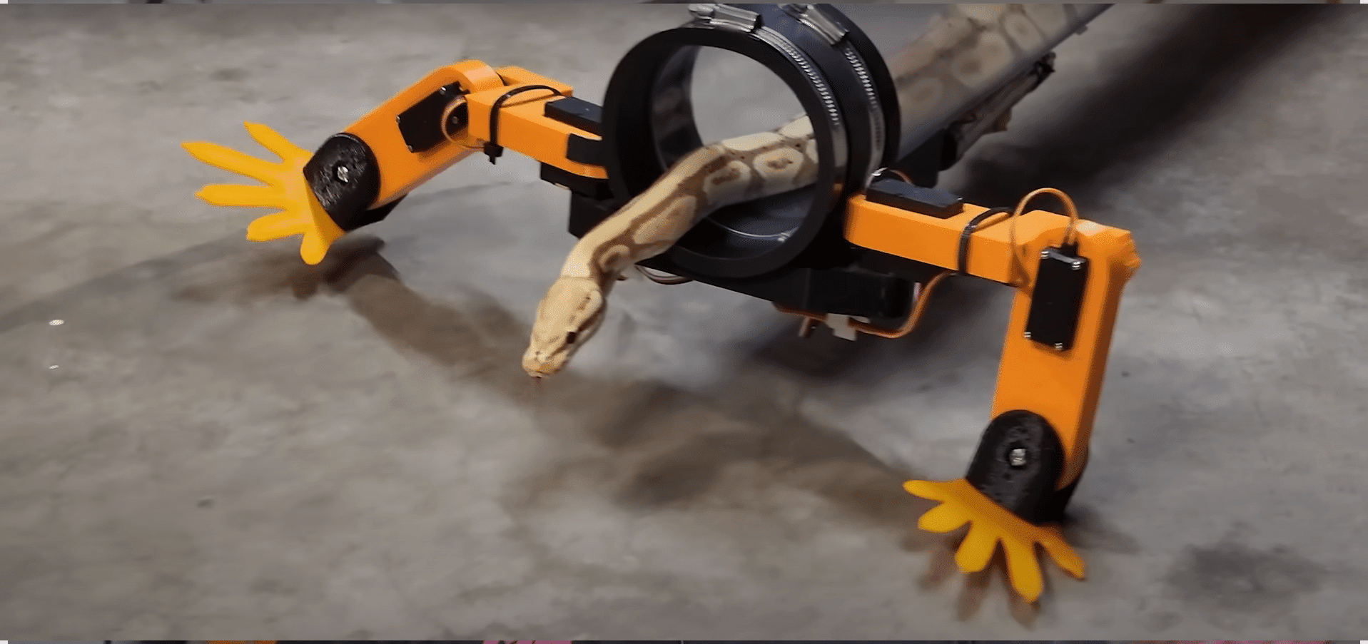 Man Invents Snake Legs