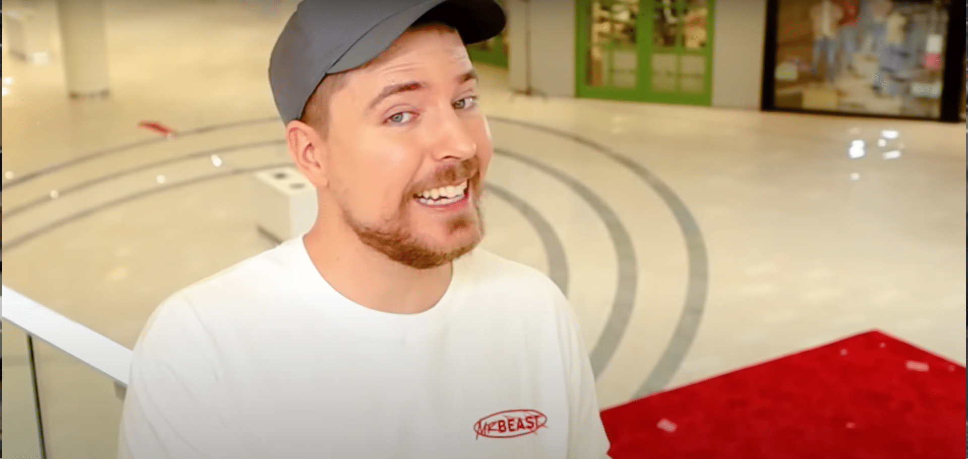 MrBeast Twitter CEO? Elon Musk’s Surprising Response